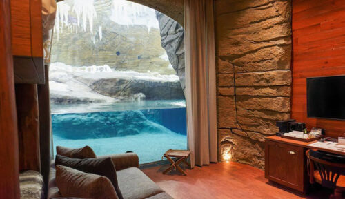 If It's Hip It's Here | The latest in global design and creativity