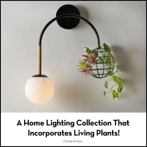 If It's Hip It's Here | The latest in global design and creativity