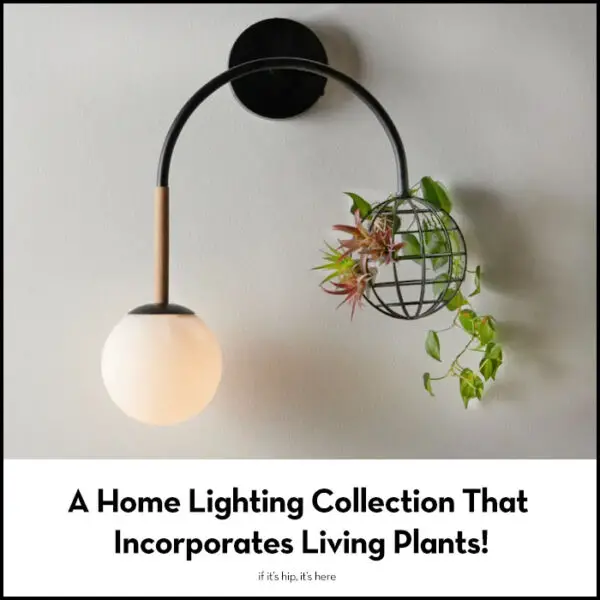 If It's Hip It's Here | The latest in global design and creativity