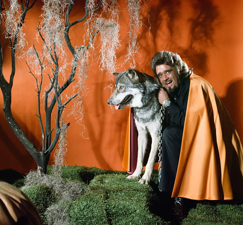 If It's Hip It's Here | The latest in global design and creativity