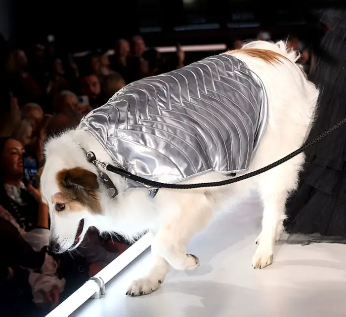 If It's Hip It's Here | The latest in global design and creativity