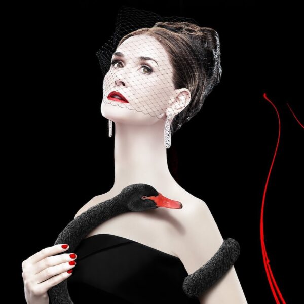 If It's Hip It's Here | The latest in global design and creativity
